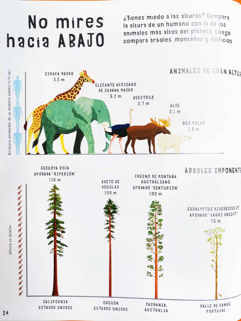 EL LIBRO DE LAS COMPARACIONES – Abejita