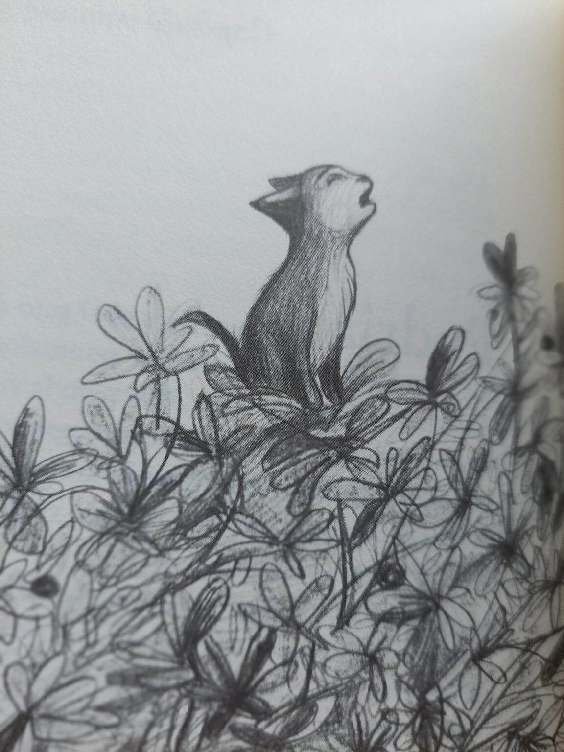 HISTORIA DE MIX, DE MAX Y DE MEX – Abejita