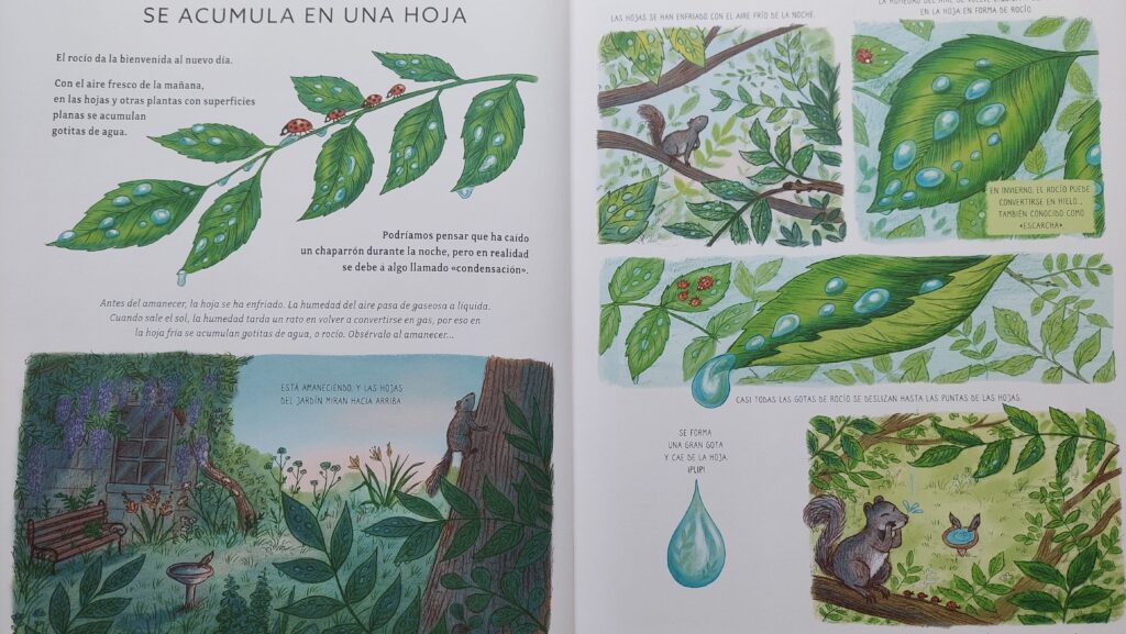 CON CALMA 50 HISTORIAS DE LA NATURALEZA – Abejita