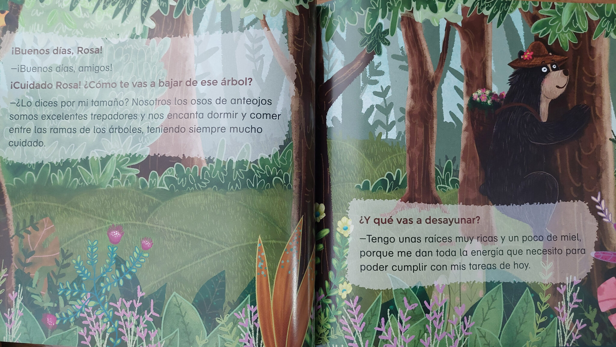 ROSA LA OSA DE ANTEOJOS Y LA RESPONSABILIDAD – Abejita